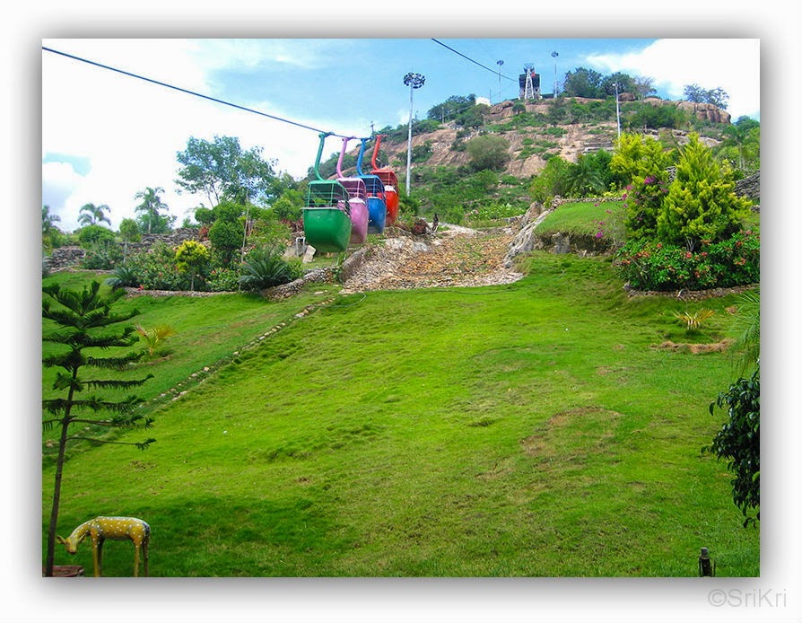 Pazhani | Travel Enthusiasts