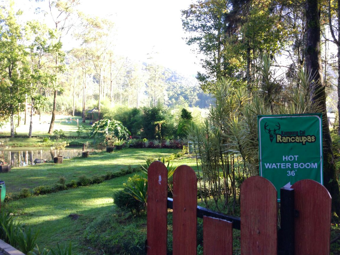 Nge-camp di Bumi Perkemahan Ranca Upas, Ciwidey