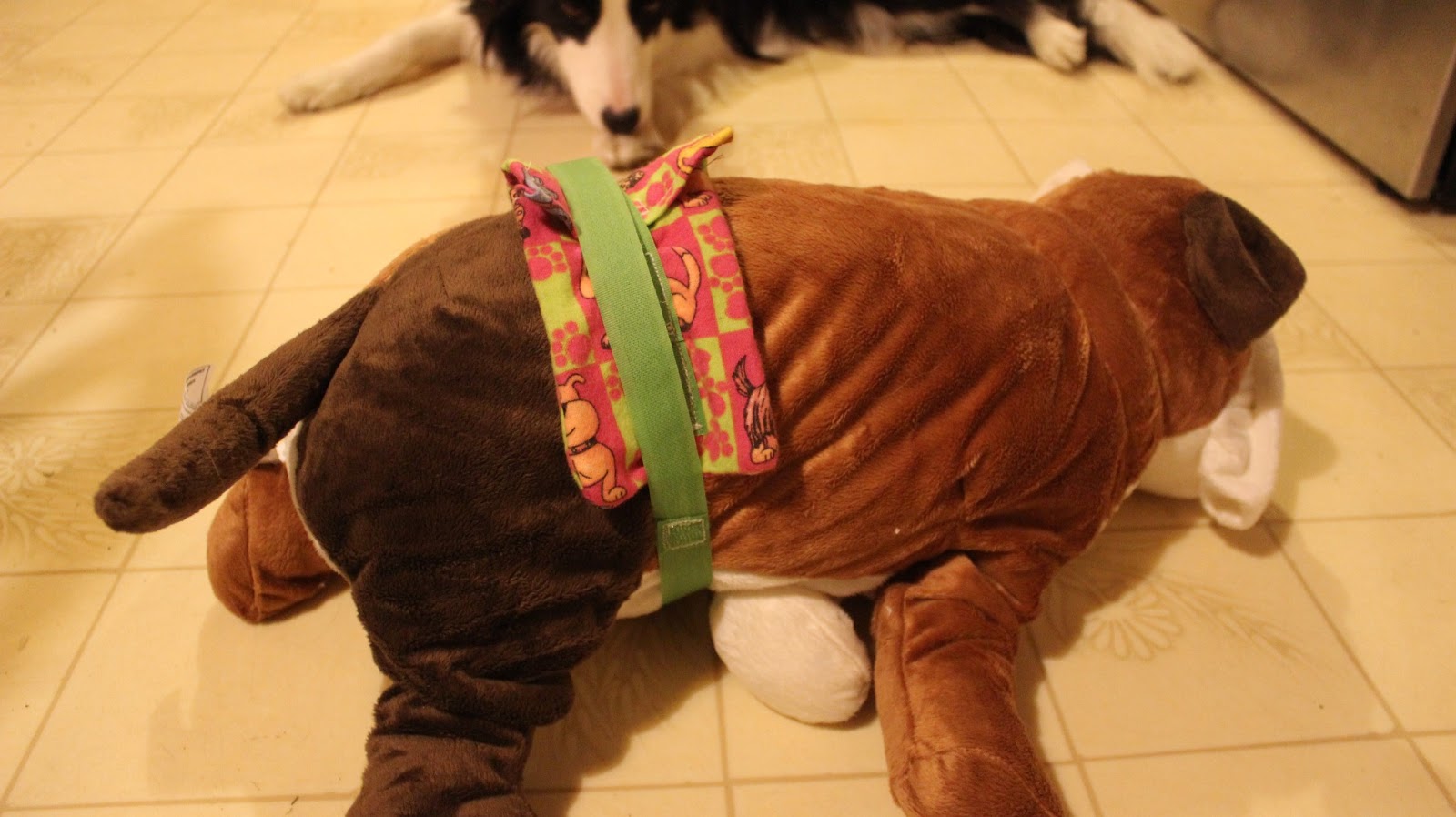 Know Thy Dog: Check out our new hands free Ice packs available from ...