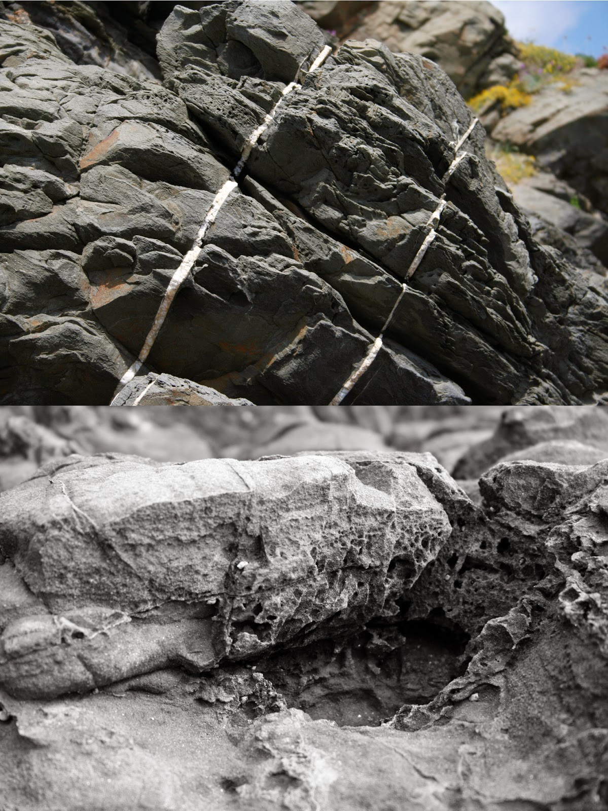 Se cree que el nombre de Es Murtar proviene de las muchas plantas de ...