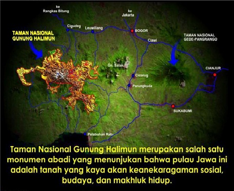 Mengenal Taman Nasional Gunung Halimun - PLH Indonesia