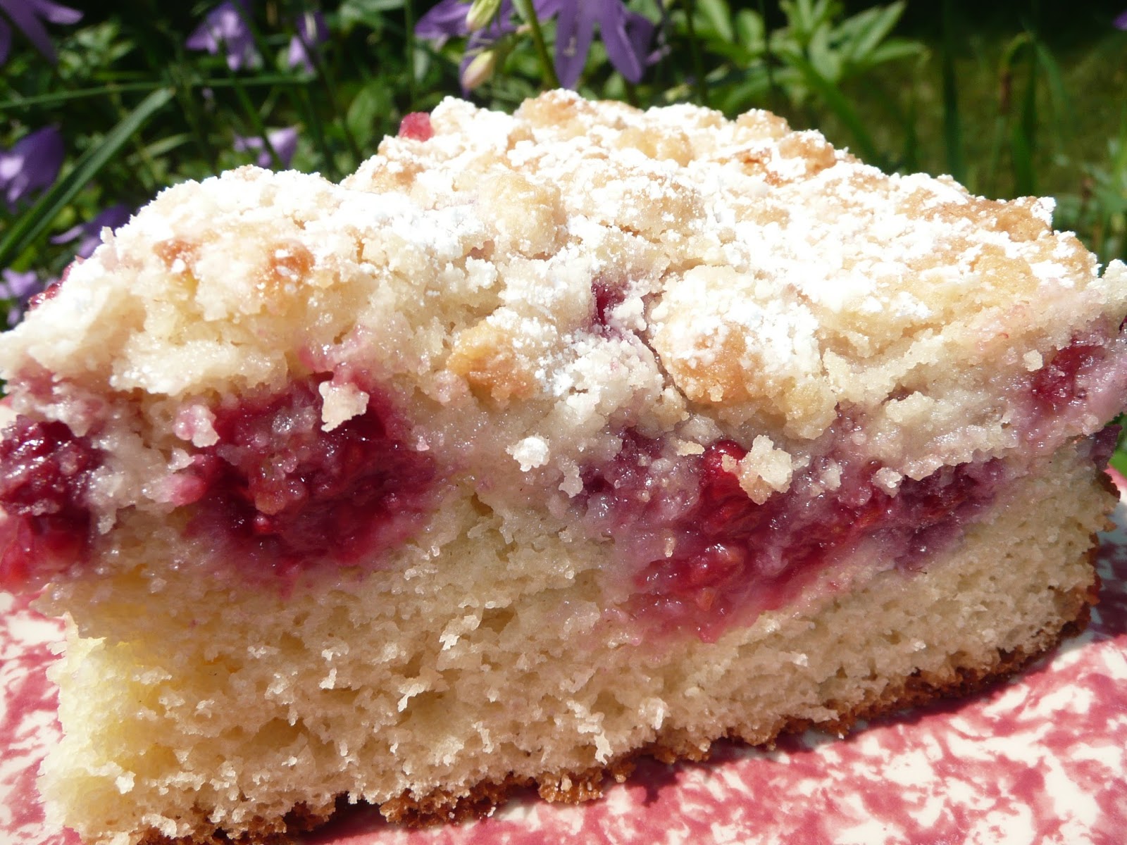 Everyday Dutch Oven: Fresh Raspberry-Sour Cream Crumb Cake