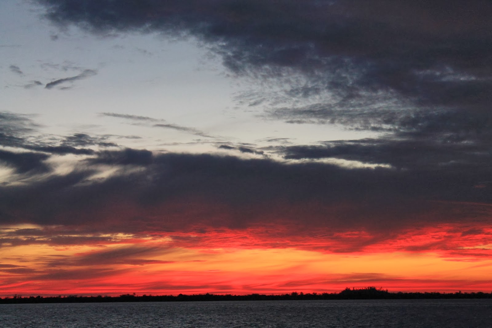 Connecting Pieces: Fall Color in the Sky