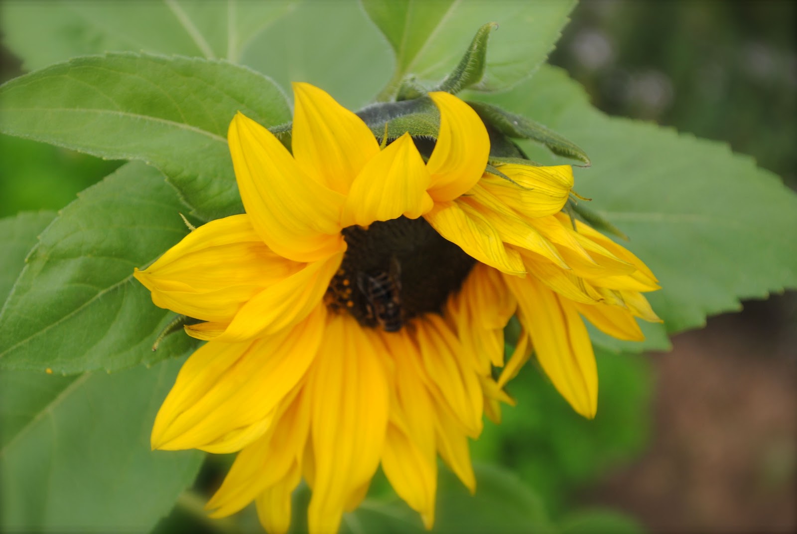 April Danann: 5 Spiritual Benefits of Exercise