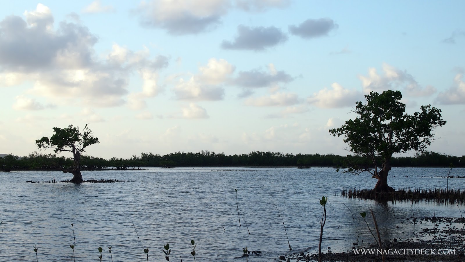 Canton Island, Mercedes, Camarines Norte ~ Naga City Deck