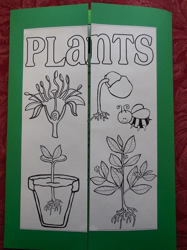 The Paper Maid: Interactive Plant Lapbook