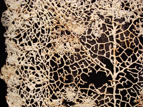 Country Connections: Material Innovation