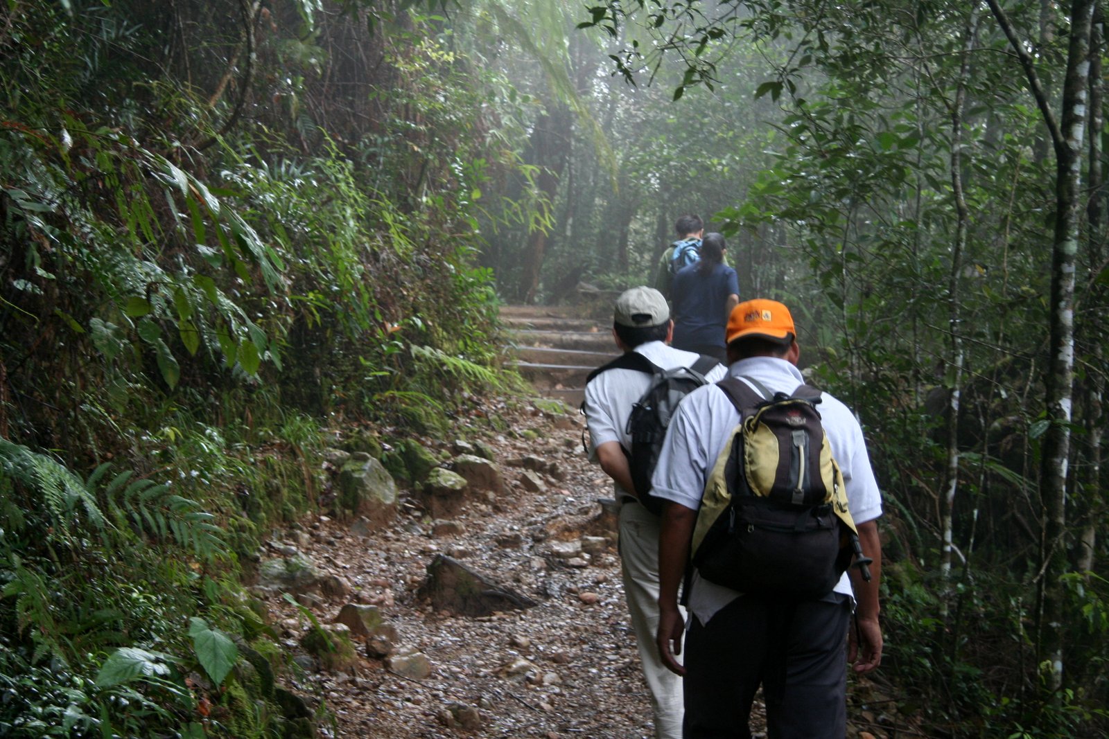 Climbing Mt Kinabalu: Timpohon Gate to 1.5km