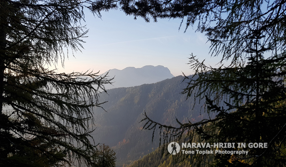 Narava hribi in gore: Jesen Knipsovo sedlo in Peca 2126 m