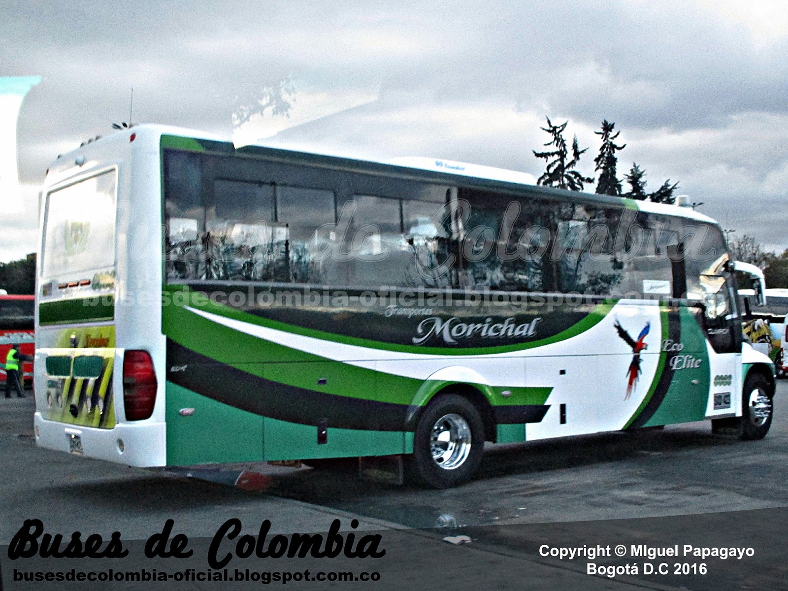 Transportes Morichal 6083