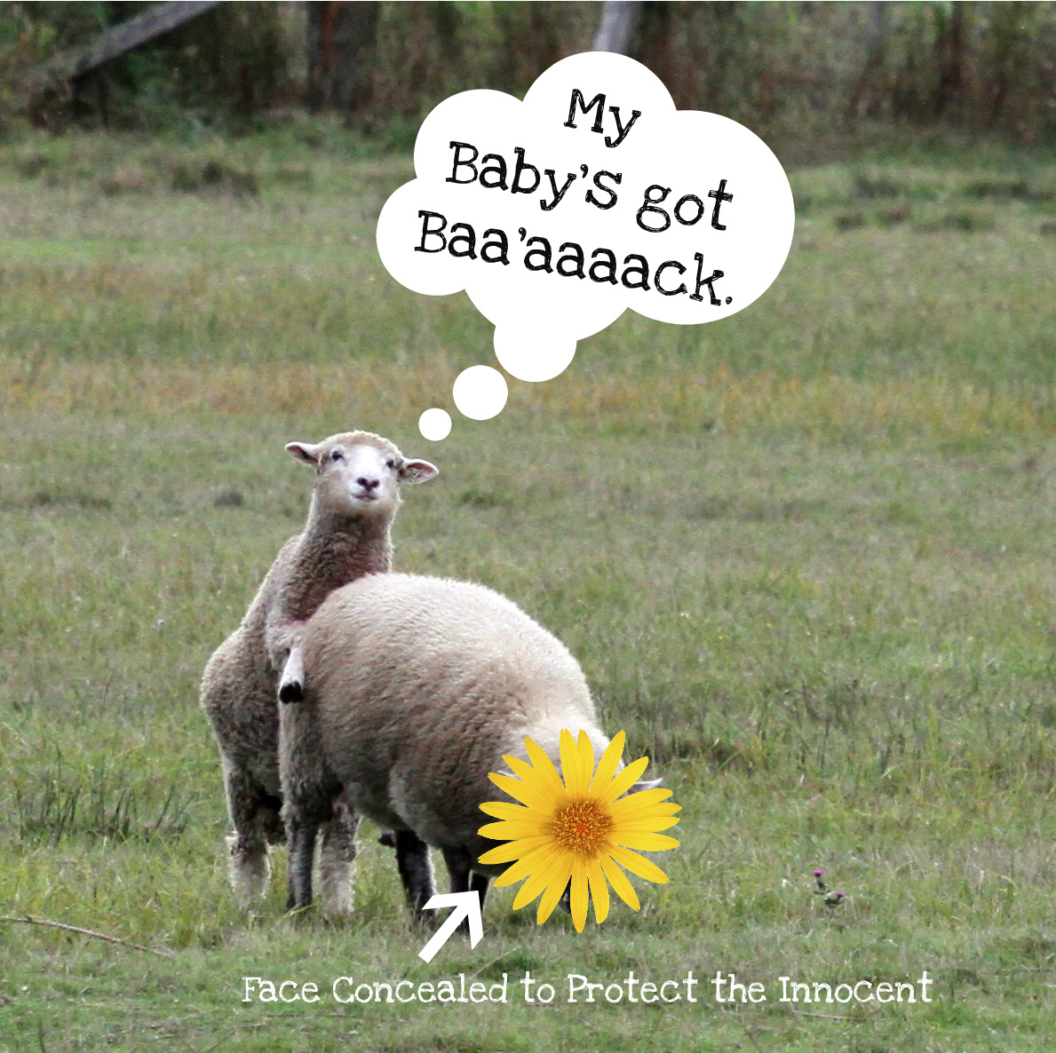 BCxFour: October 2011