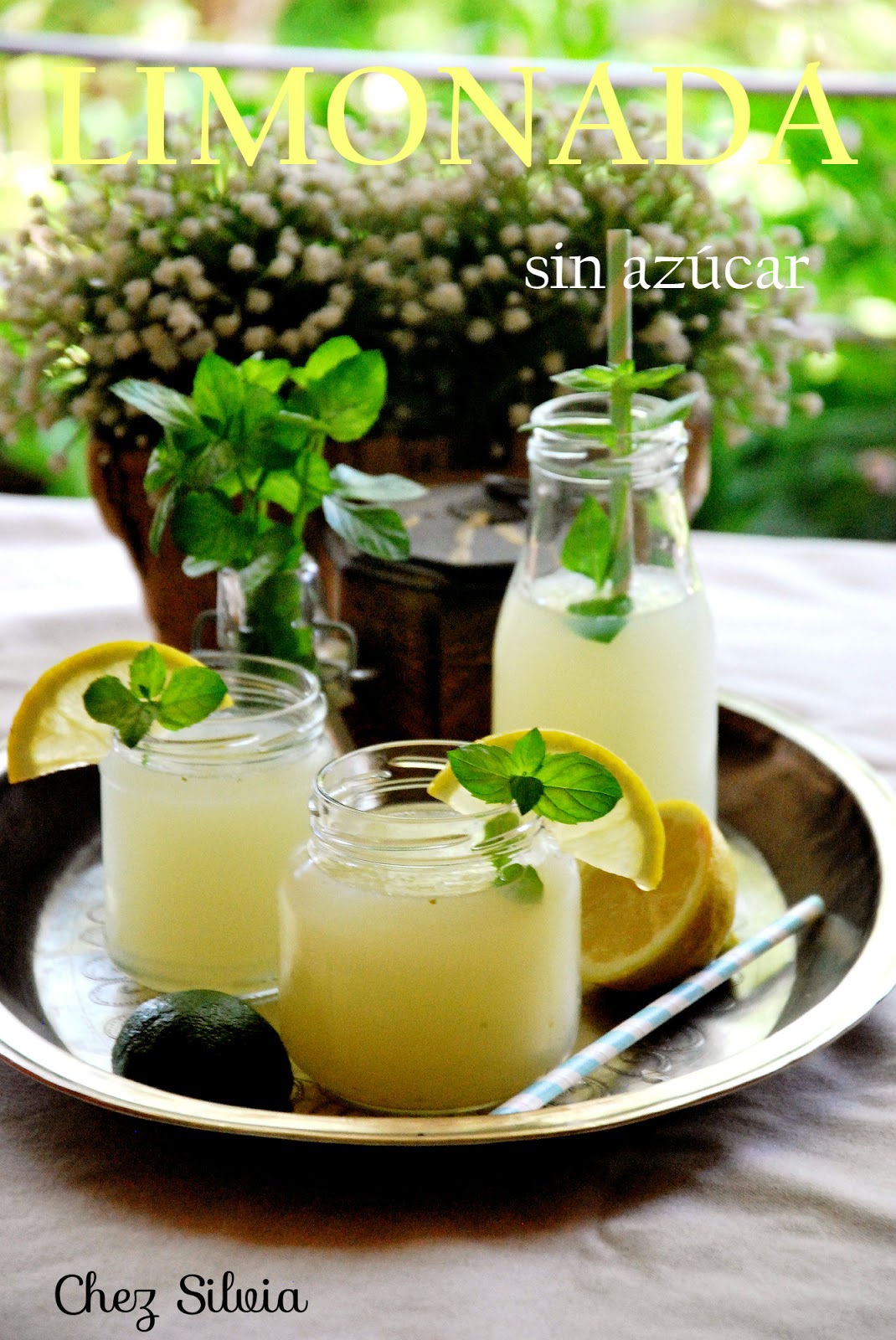 Limonada de lima, limón y menta {Sin azúcar} — Chez Silvia
