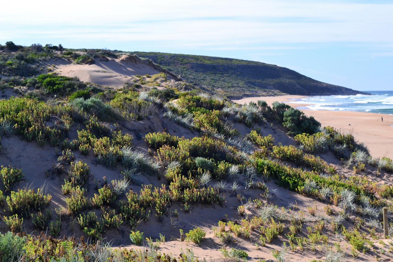 Goin' Feral One Day At A Time: Waitpinga Cliffs, Heysen Trail, Newland ...
