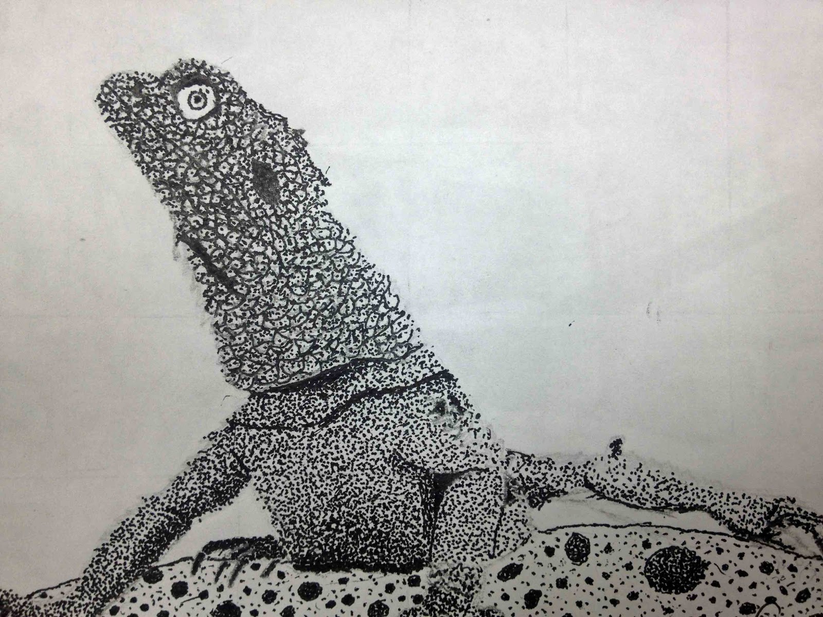 art @ the heart: Grade 9-10 Stipple Animals 2013 (AVI1O-AVI2O)