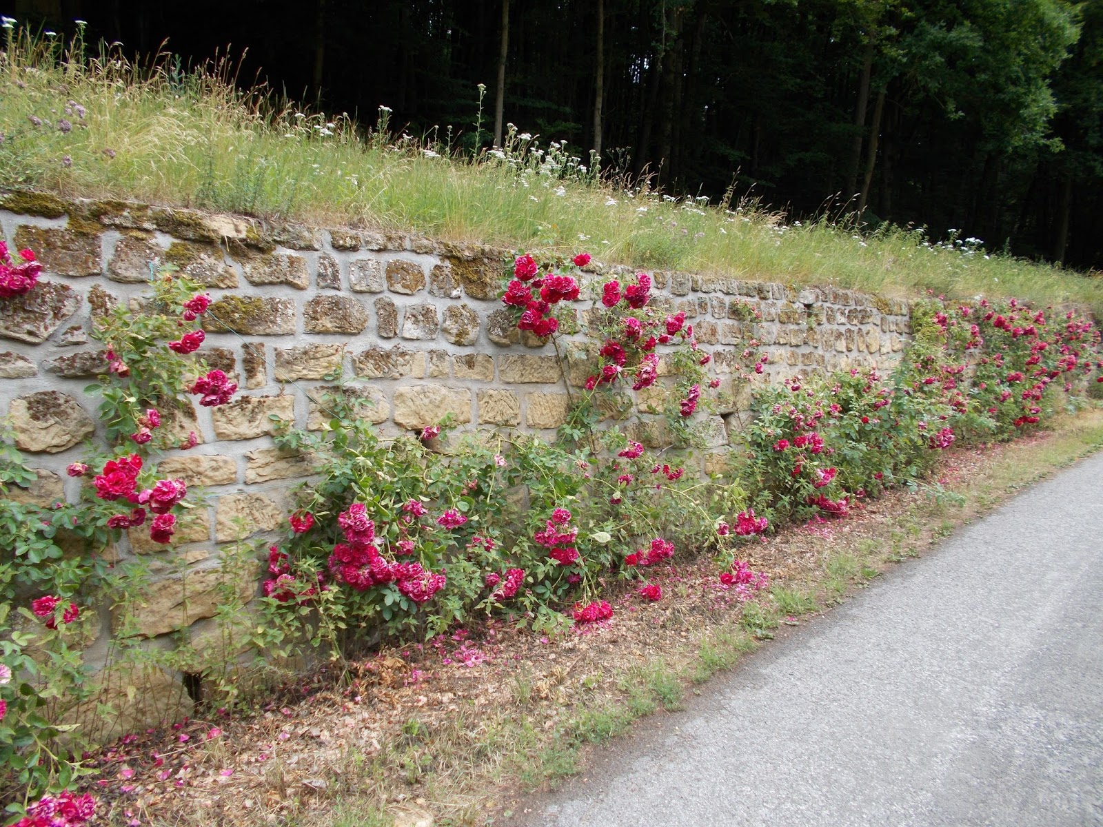 Gudde Moien zu Lëtzebuerg: Company Outing