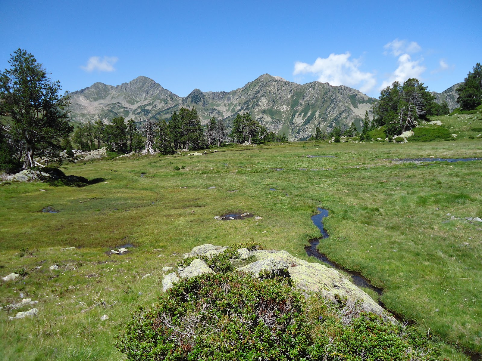 Le Blog "PYRENEES et NATURE" de Benjamin JOFFRE: 31/7/2011: Vallée du ...