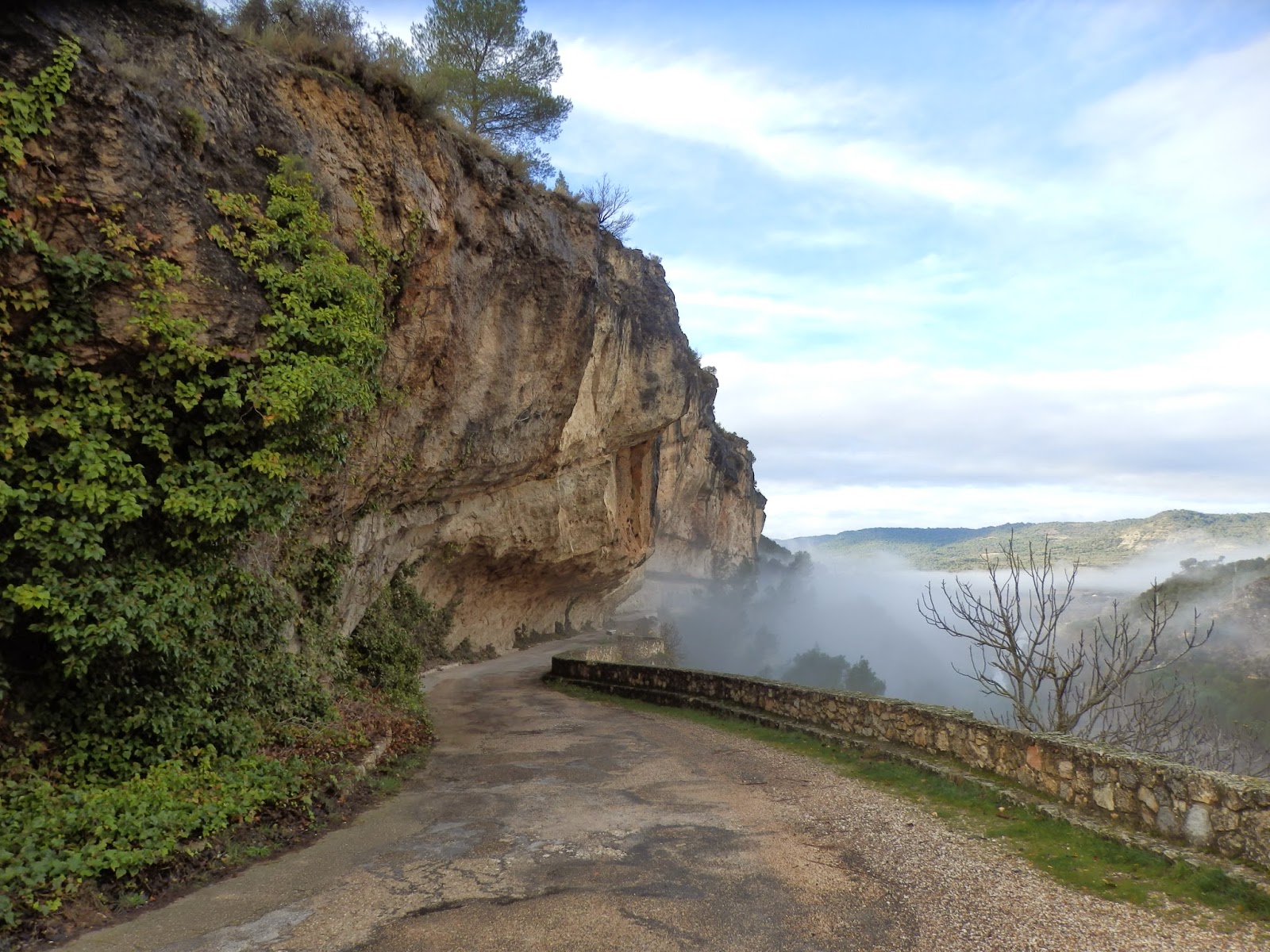Diversidad y Entorno: EXCURSIÓN A LOS EMBALSES DE GUADALAJARA