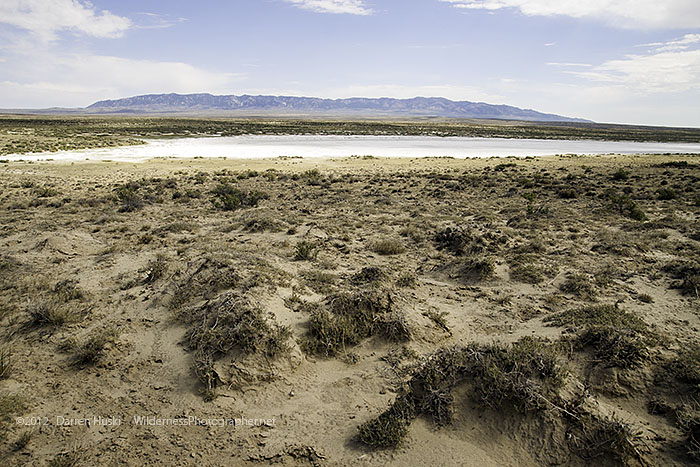 The Great Divide Basin