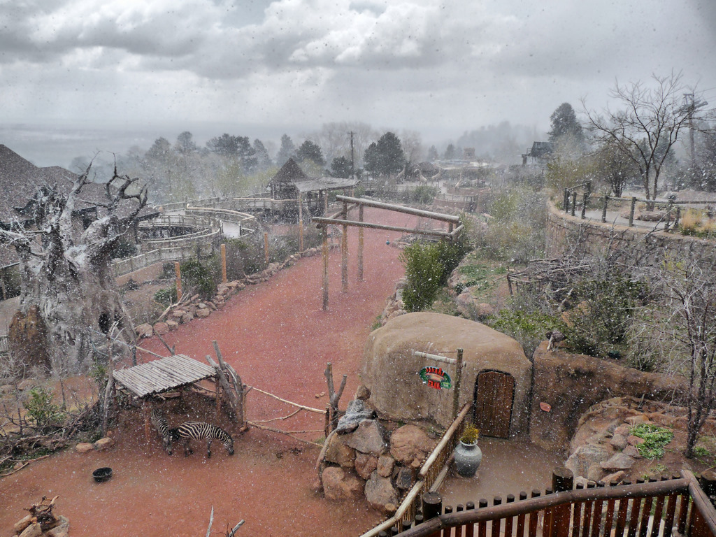 Cheyenne Mountain: Reviews Of Cheyenne Mountain Zoo