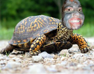 Hairy Business: TURTLE PEOPLE