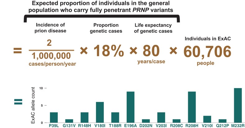 CoreGenomics: A personal journey in Genomics