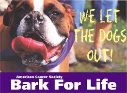Dog Walker Rescue: Barry County Bark For Life Relay Event Media Release