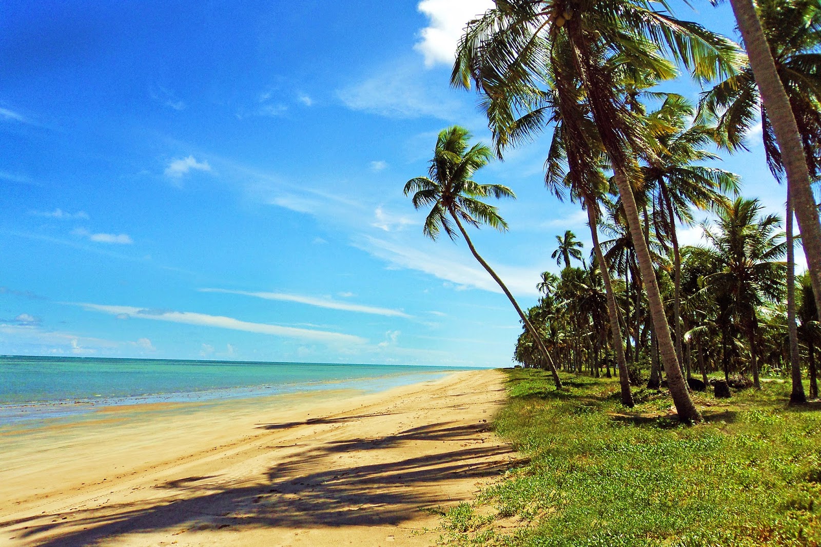 Maceio - Alagoas: Praia de Maragogi - Alagoas