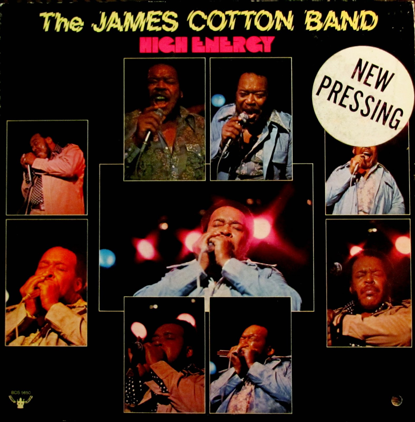 Home of the Groove: The James Cotton Band Gets The Treatment