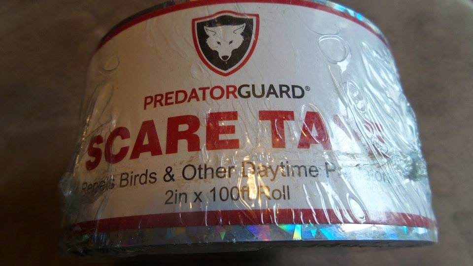 A Lucky Ladybug: Predator Guard Scare Tape - Bird Repellent Tape Review