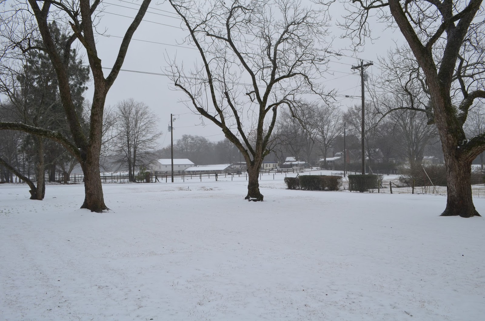 Baseball-Diamonds & Hairspray: Snowpocalypse Feb 2014