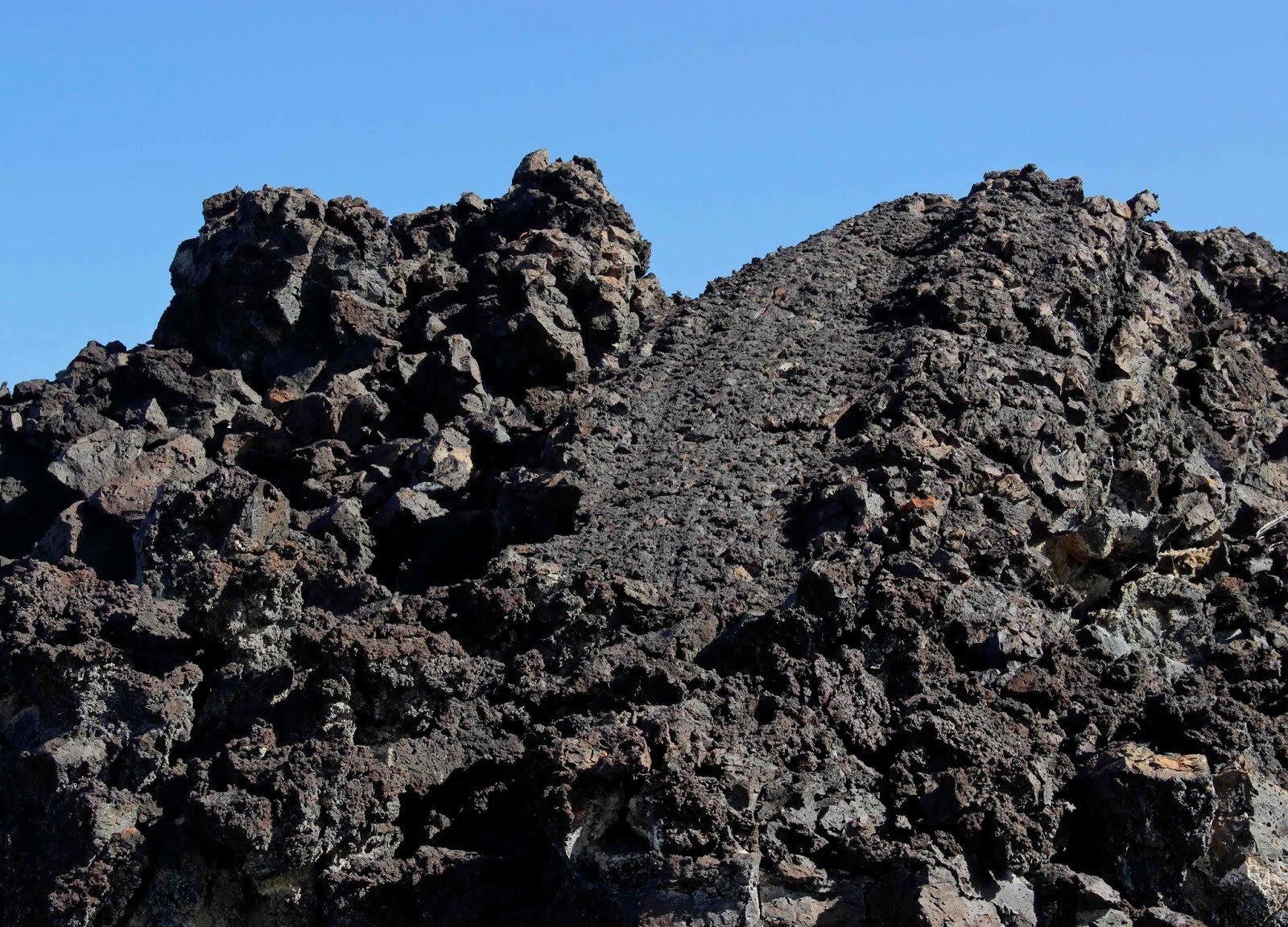 In the Company of Plants and Rocks: Black Rock Desert Finale