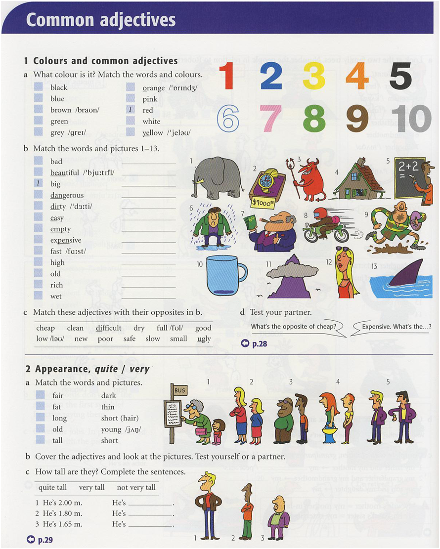 English for Primary students: Common adjectives
