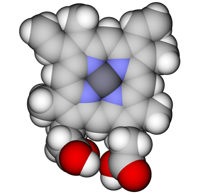 Knowledge Class: Hemoglobin and Hemocyanin