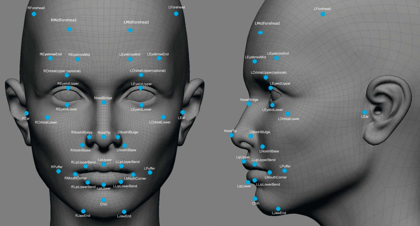 Face Detection and Recognition