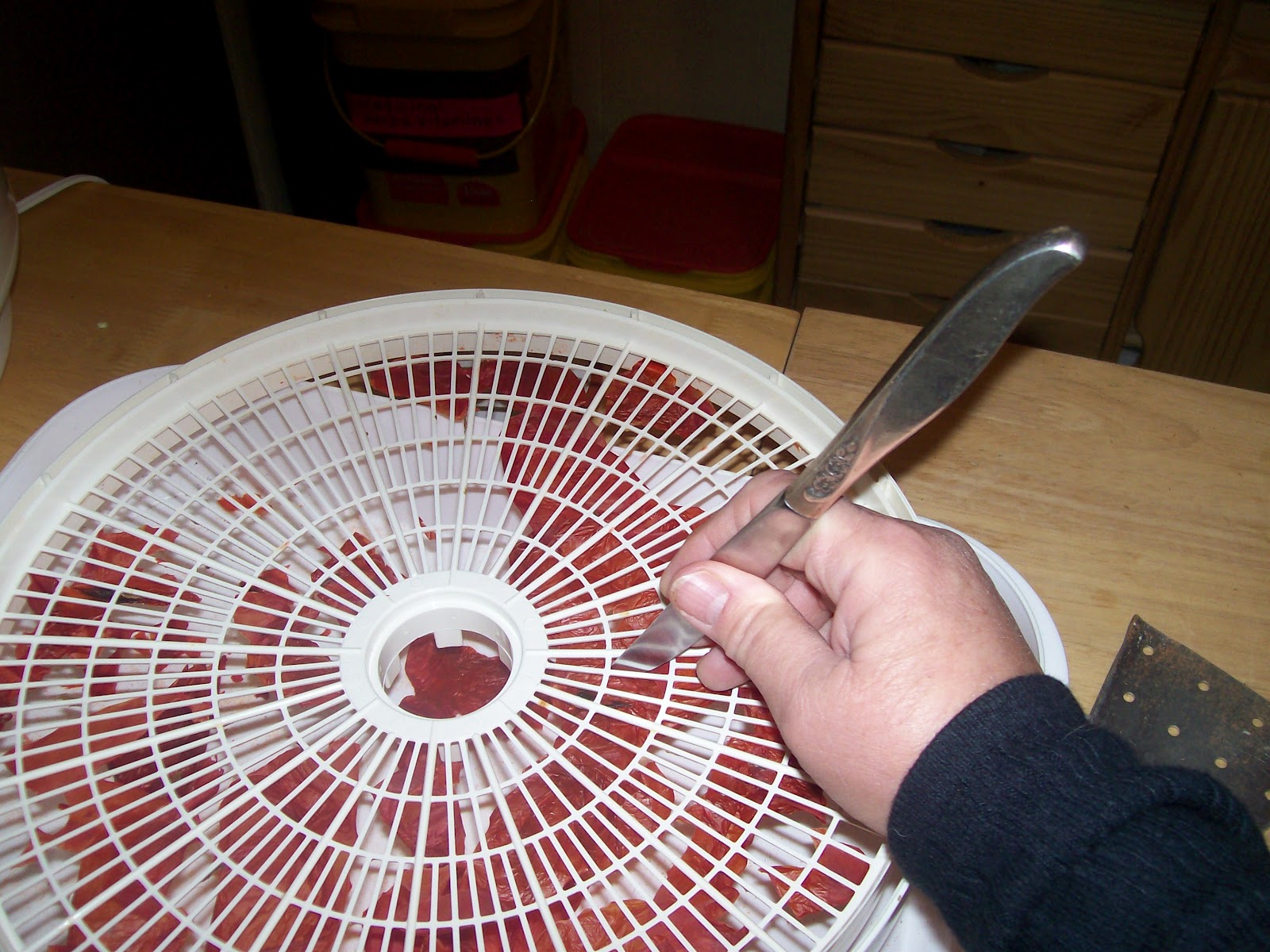 Dehydrating Way Beyond Jerky: Tomato Skins - Don't Toss 'Em