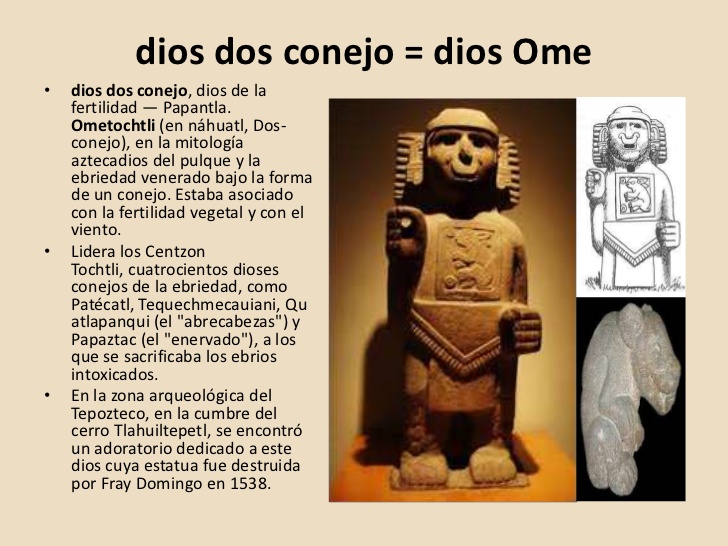 ¿Quien fue Ometochtli?