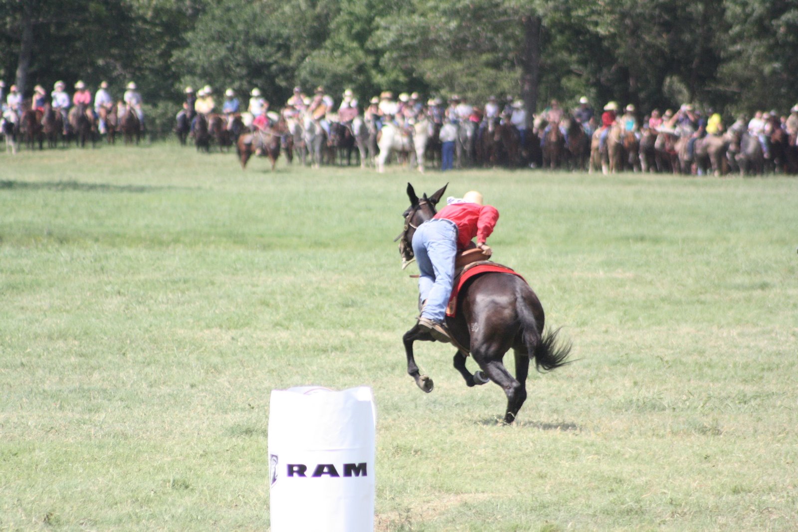 PairADice Mules: Friday's Saddle Mule Race