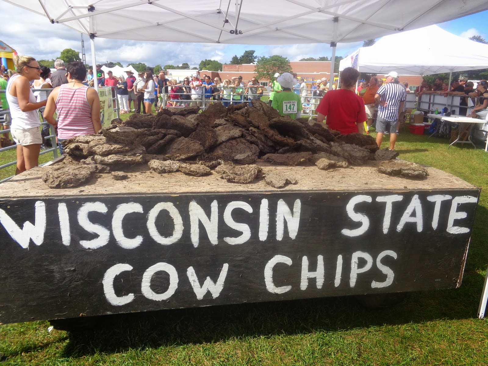 Living the good life in Grandmaville: Labor Day weekend Fun - Cow Chip ...