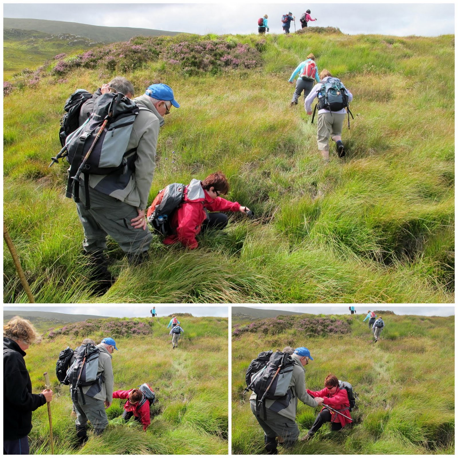 The Glebe Blog: Wigtownshire Ramblers-Stinchar Bridge Circular August 2011