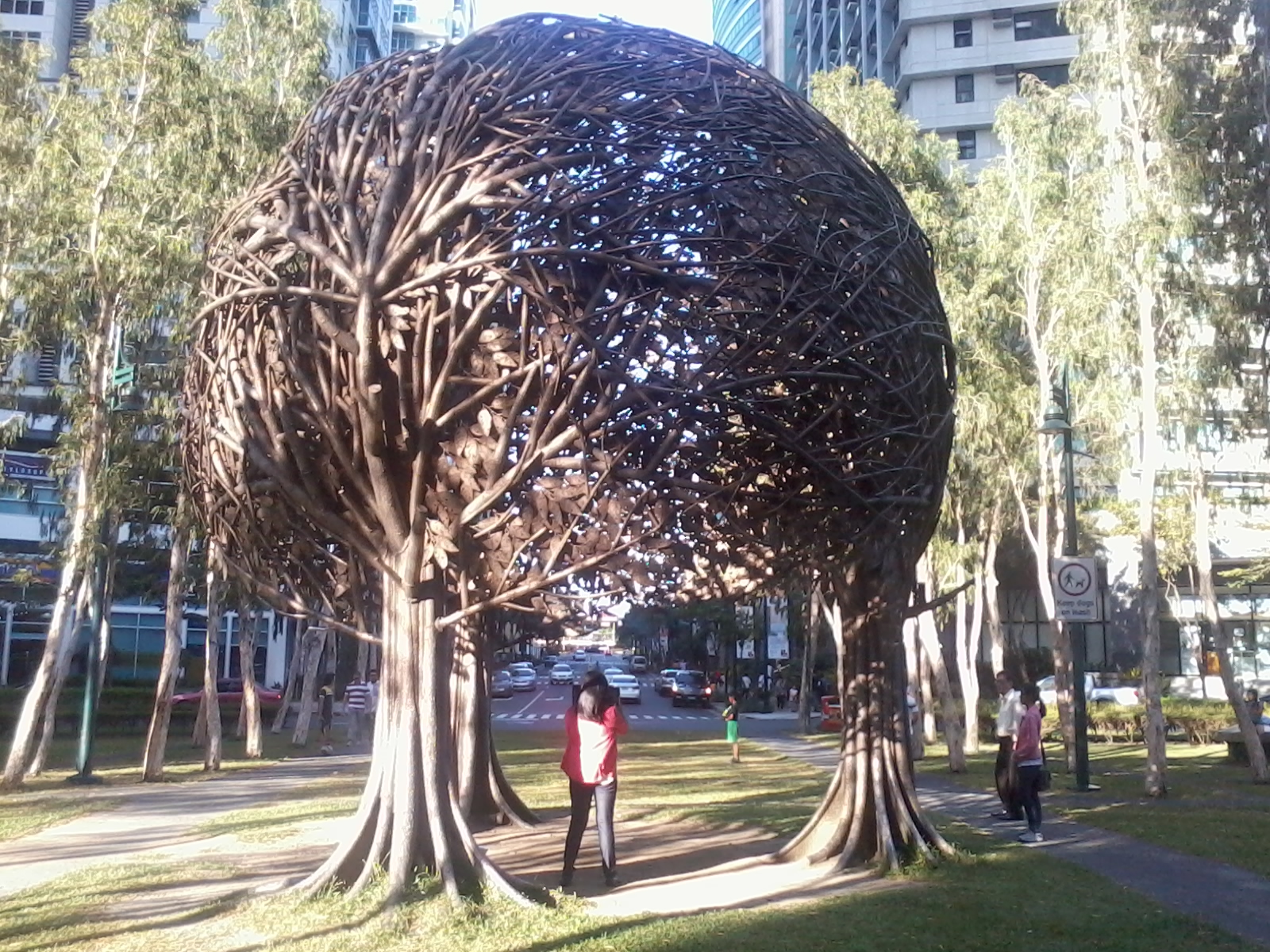 Wandering in BGC - The Wandering Juan