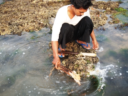 Racun Akar Pohon Tuba untuk Menangkap Ikan | Deswita Alifia Damayanti