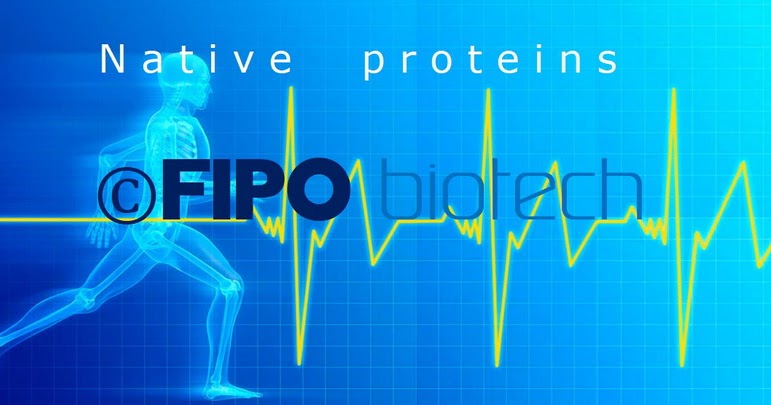 FIPO BIOTECH soluciones innovadoras
