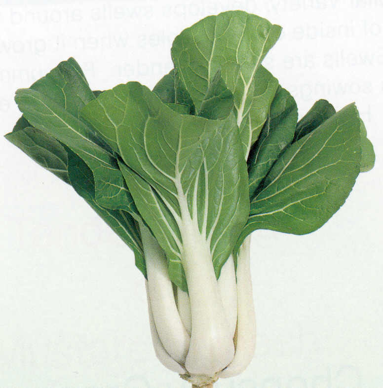 Thomas' Culinary Quest: Salmon teriyaki with paksoi and kohlrabi