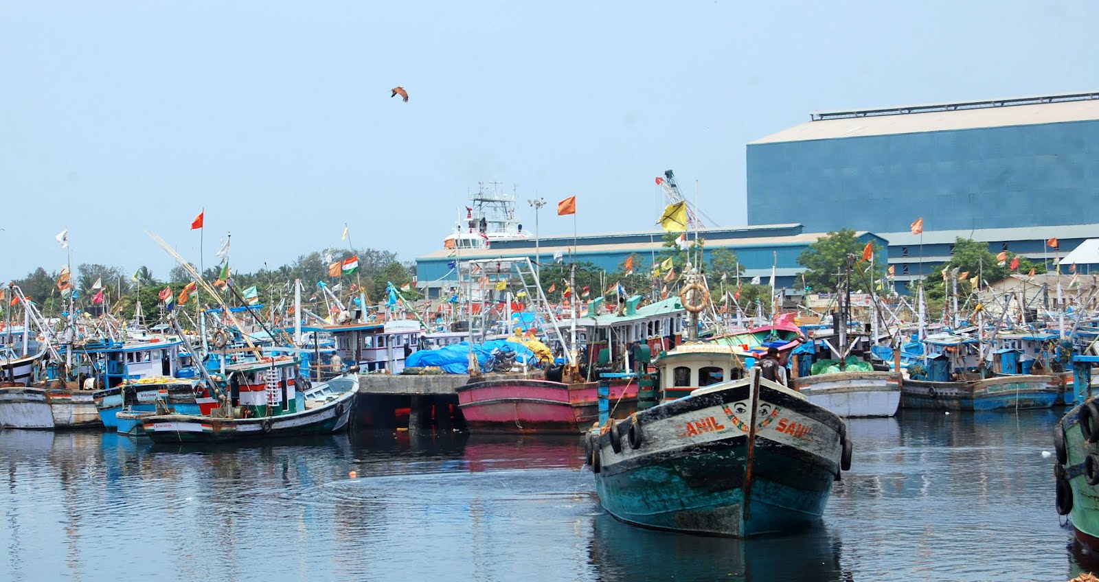 Manjunath: Photo-Freak: May 2012