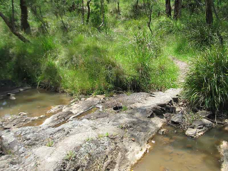 TRACKS, TRAILS AND COASTS NEAR MELBOURNE : Smith Gully History Trail