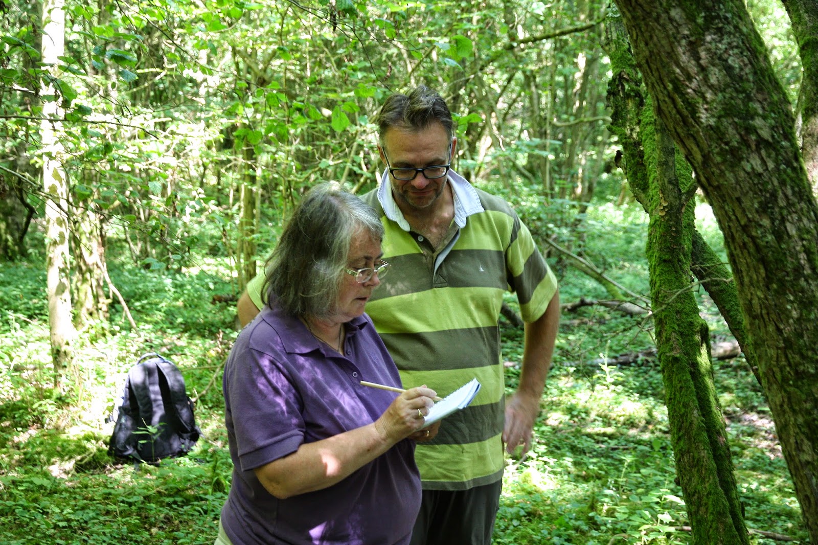 New Year Plant Hunt: taking the next steps?