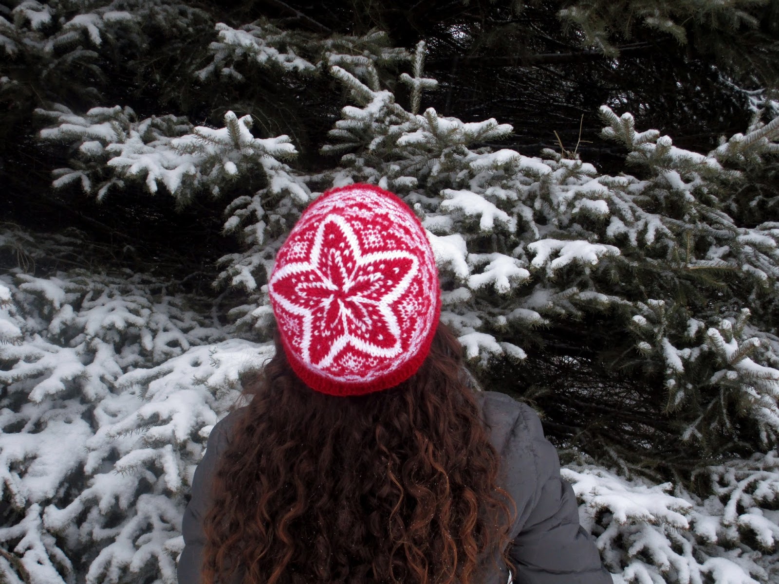 The Li'l Hayseed Blog: Star of Winter free hat pattern