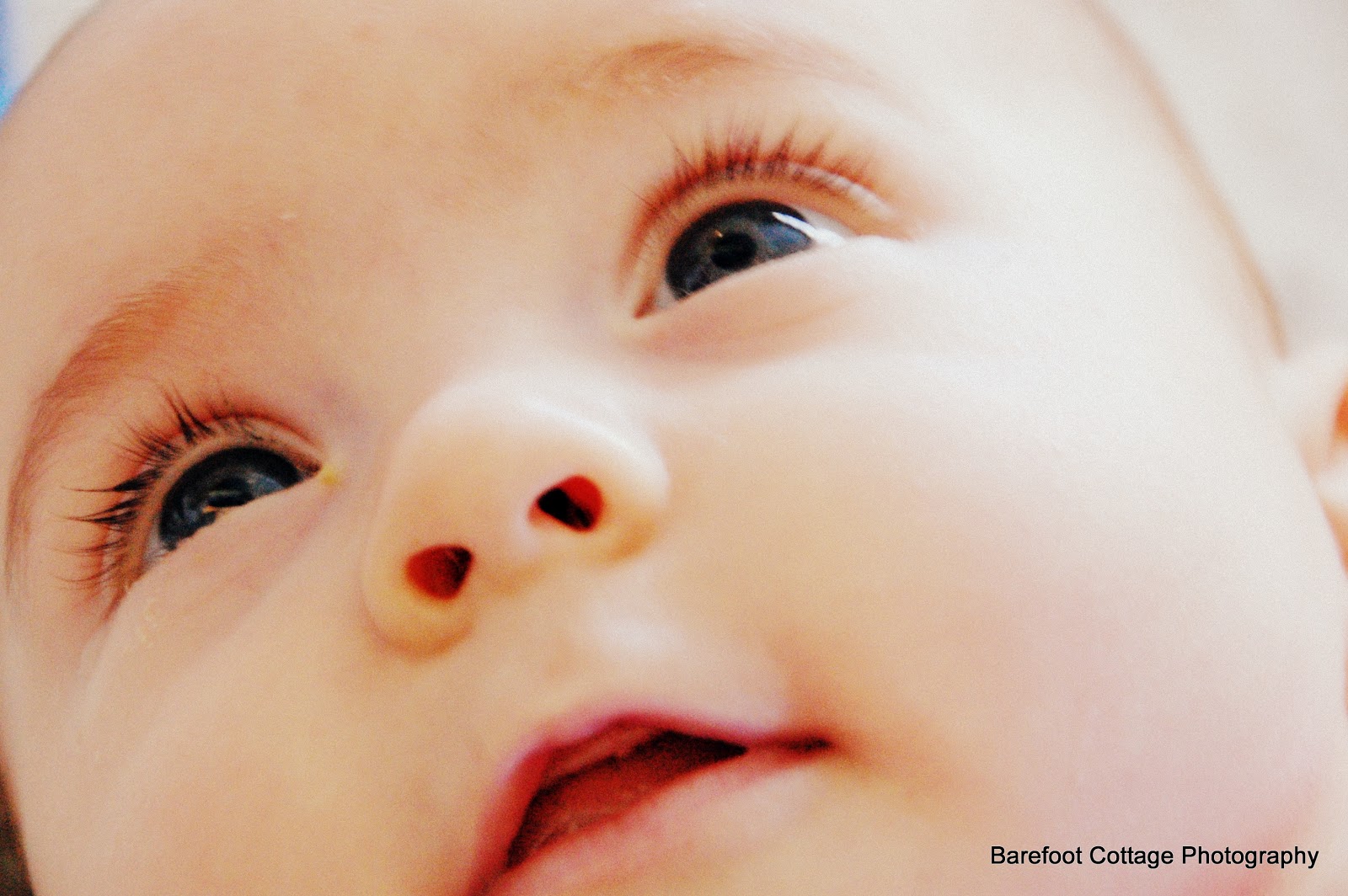 The Magic of an Ordinary Day: Squishy Baby Cheeks..
