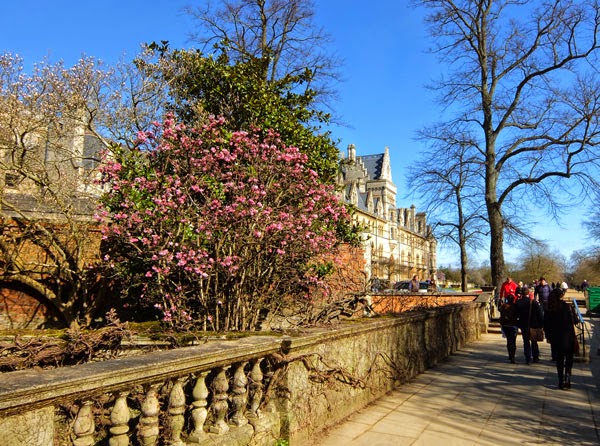 The Age of Uncertainty: Spring in Oxford