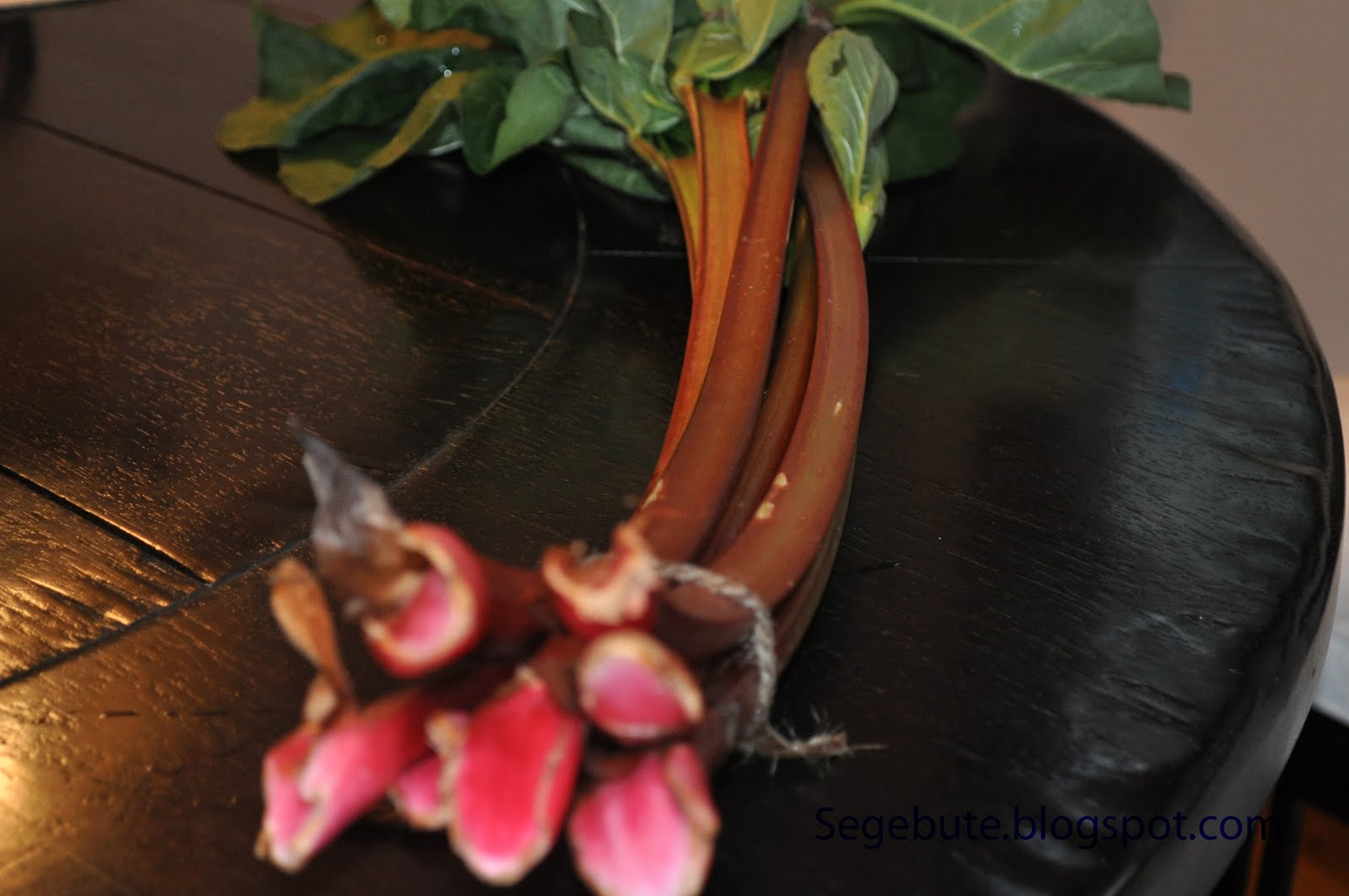 SEGEBUTĖS UŽRAŠAI: Rabarbarų pyragas